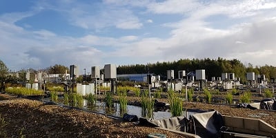 Fera Science Blog