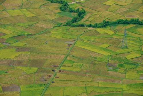 How to Measure Natural Capital