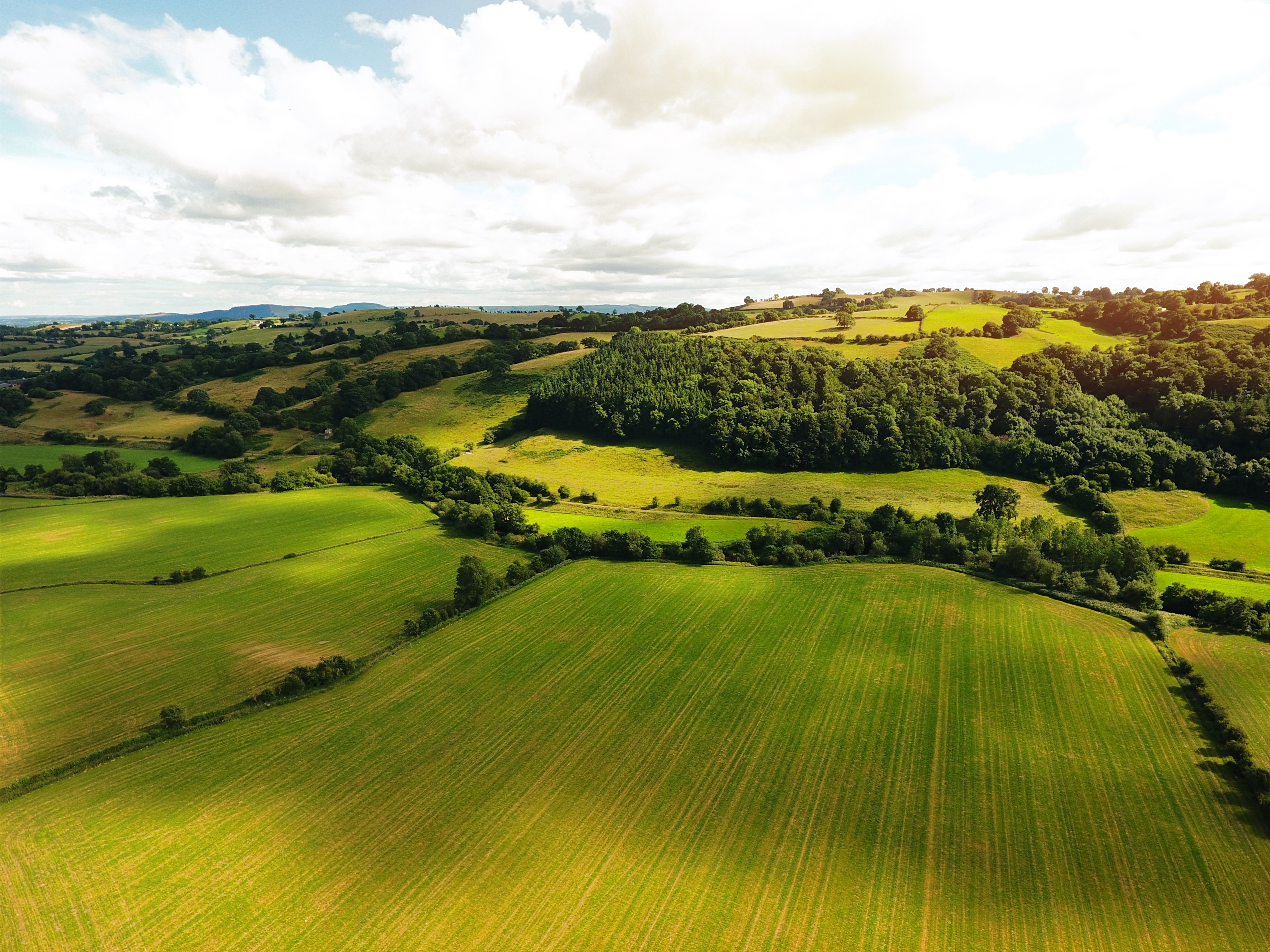 Examples of Natural Capital across a Farm Business