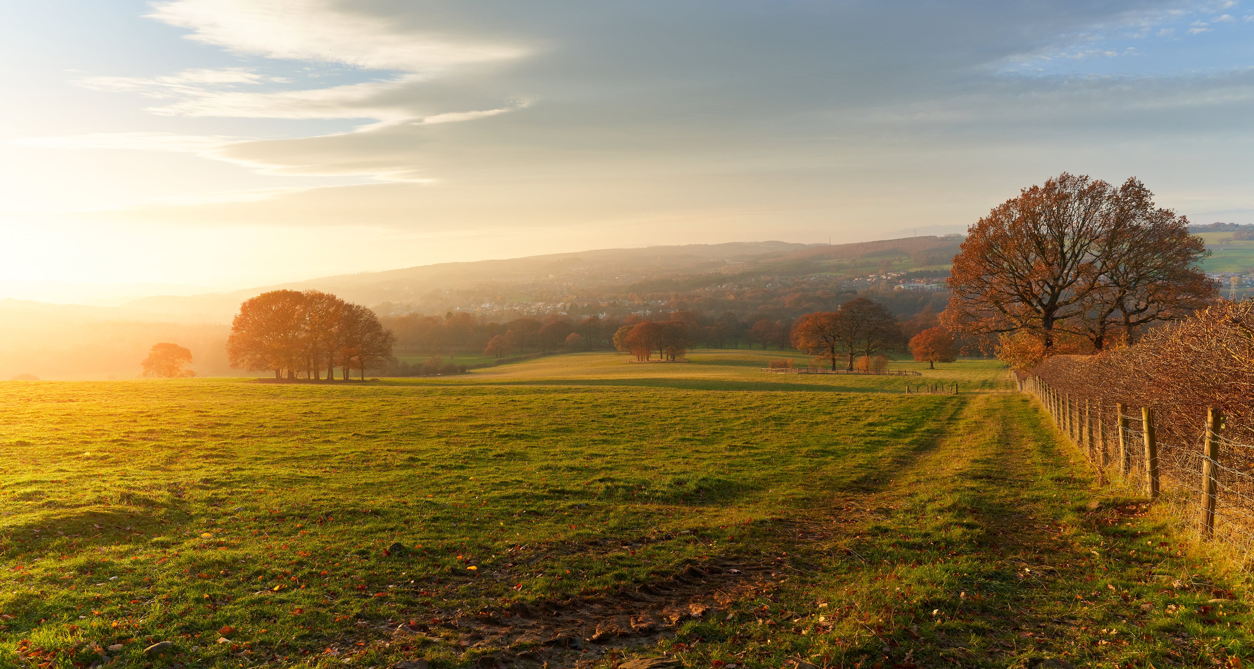 LAND360 in 2023: Navigating the Landscape of Biodiversity and Land ...